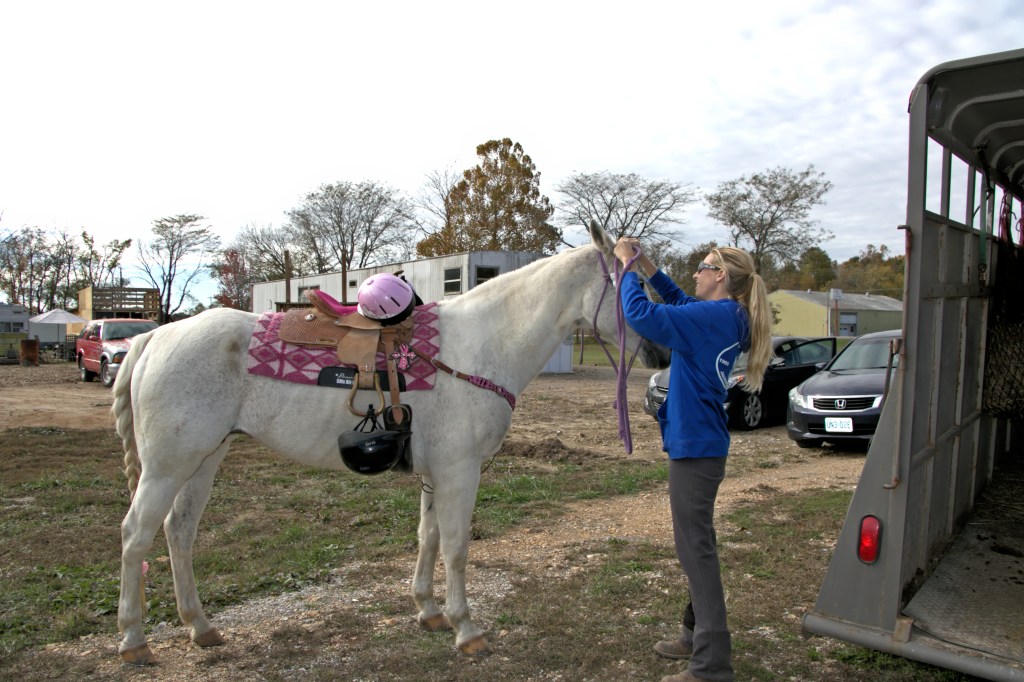 Rolling Hills Farm & Equine, LLC – Family owned and operated for more ...